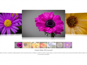 Staff Carousel Slider 3 - Master Slider Plugin