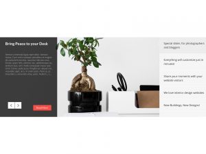 jQuery and WordPress Slider Plugin - Master Slider