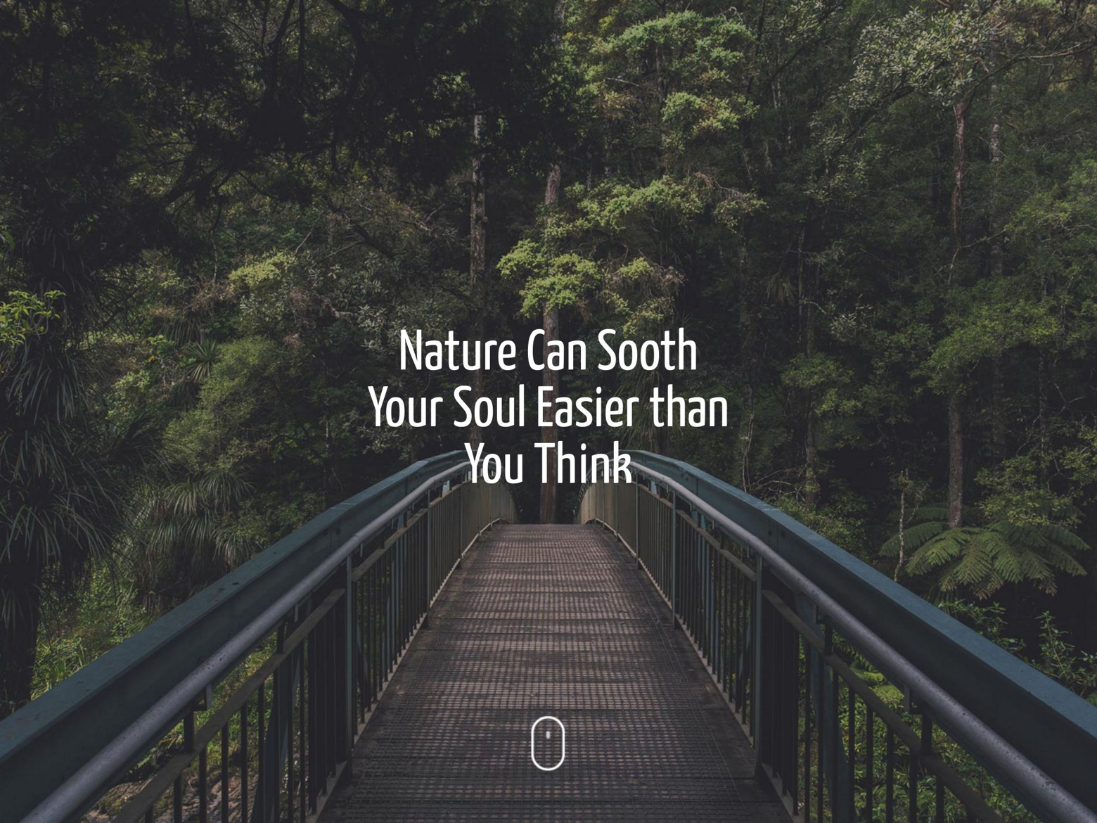 box slider template - Master Slider Plugin