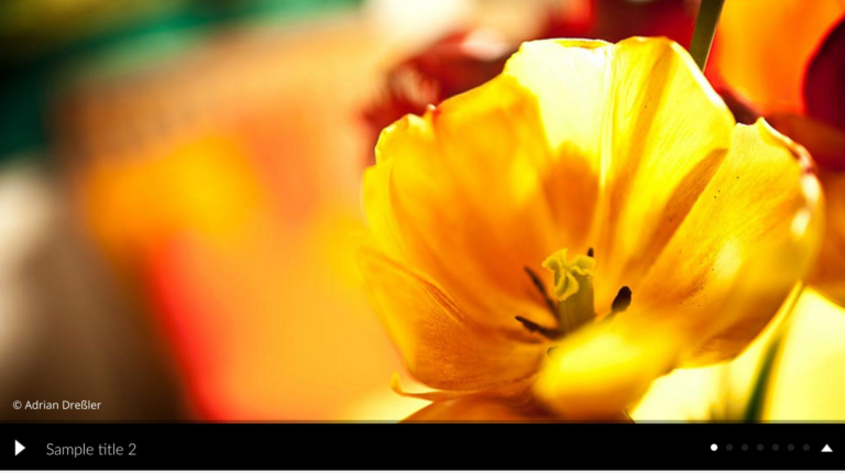 Free Full Width Slider With Thumbs Master Slider Plugin