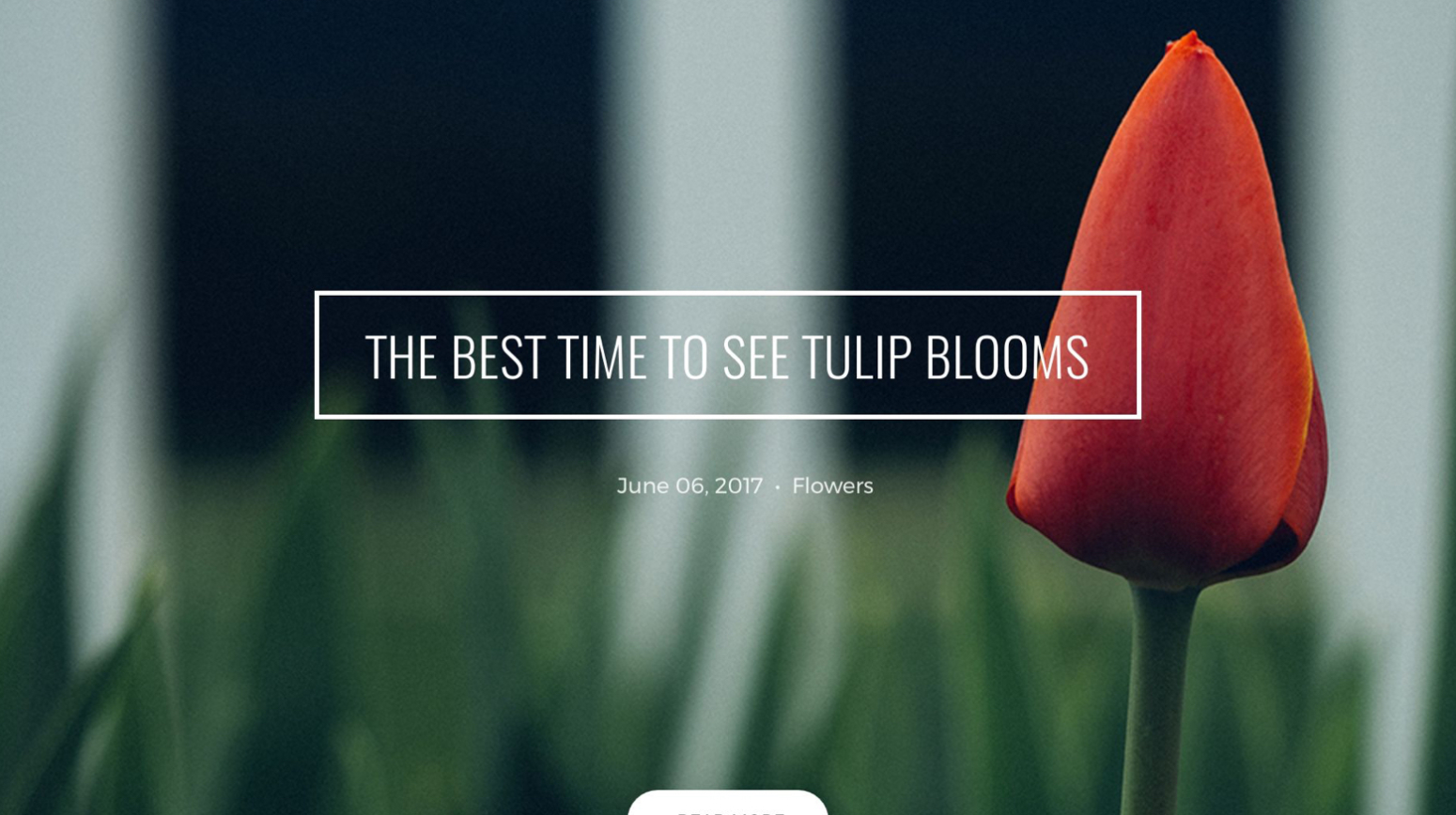 WooCommerce Product Sample Slider 1 - Master Slider WordPress Plugin