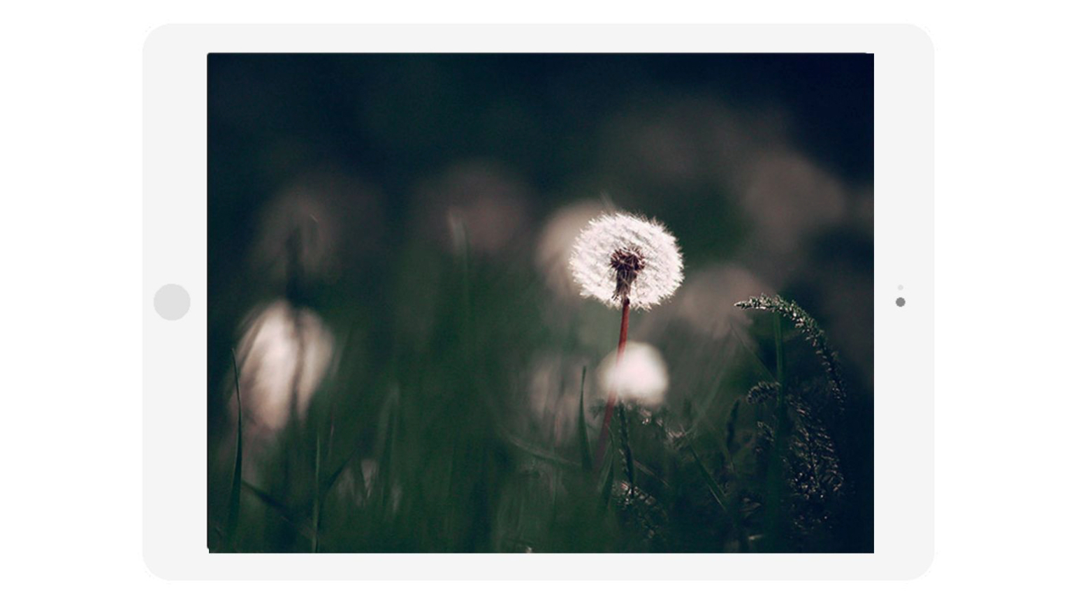 Free Slider with Vertical Thumbs - Master Slider Plugin