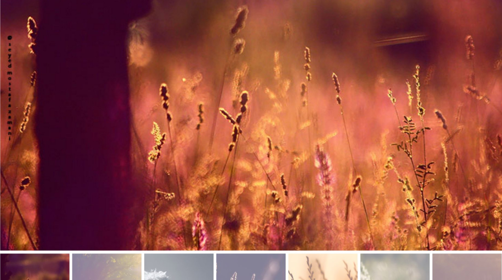 Fullscreen Slider with Video Background - Master Slider Plugin